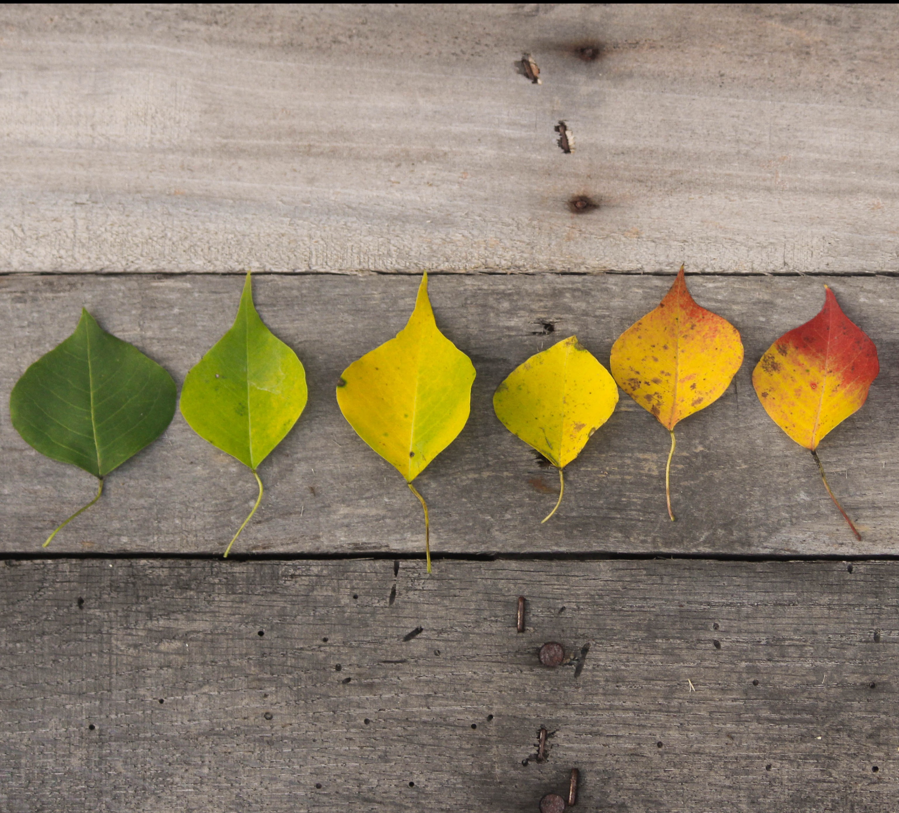 31 Stylistic Devices For Creative Writers Live Write Thrive