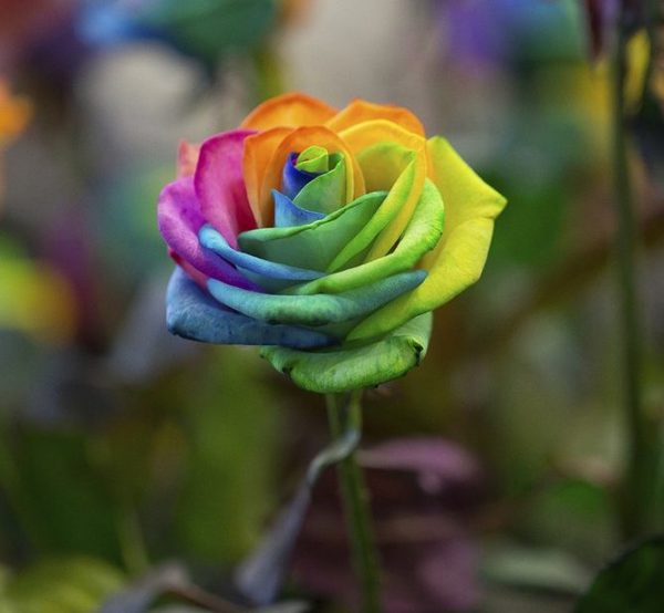 A Deep Look at Masterful Writing - C. S. Lakin